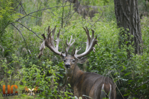 The Hunt Of A Lifetime: X Factor Whitetails Of Indiana | Upper ...