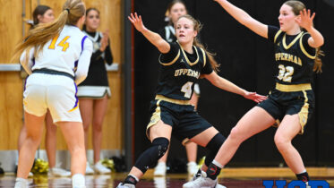 BUSINESS AS USUAL: Upperman Lady Bees Return To The State Tournament ...